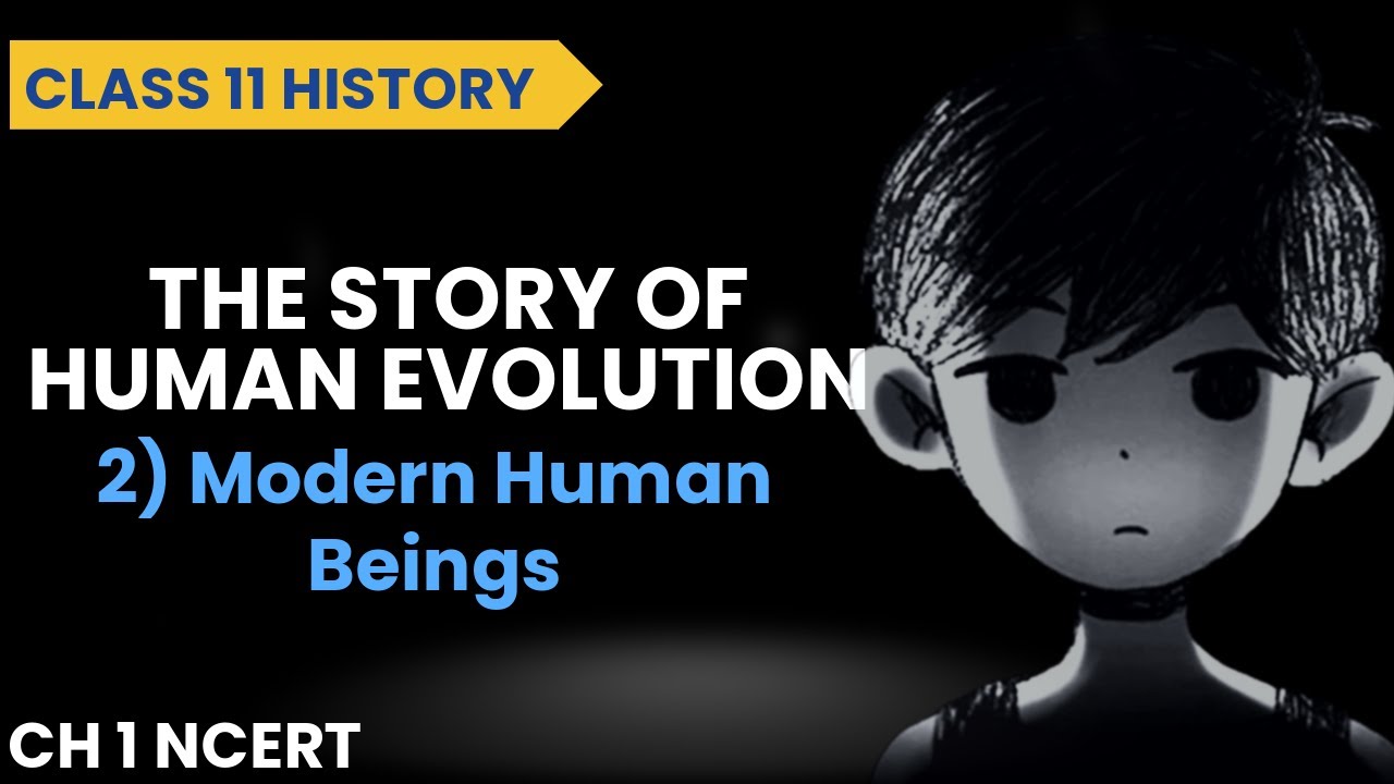 The Story of Human Evolution Class 11 - YouTube