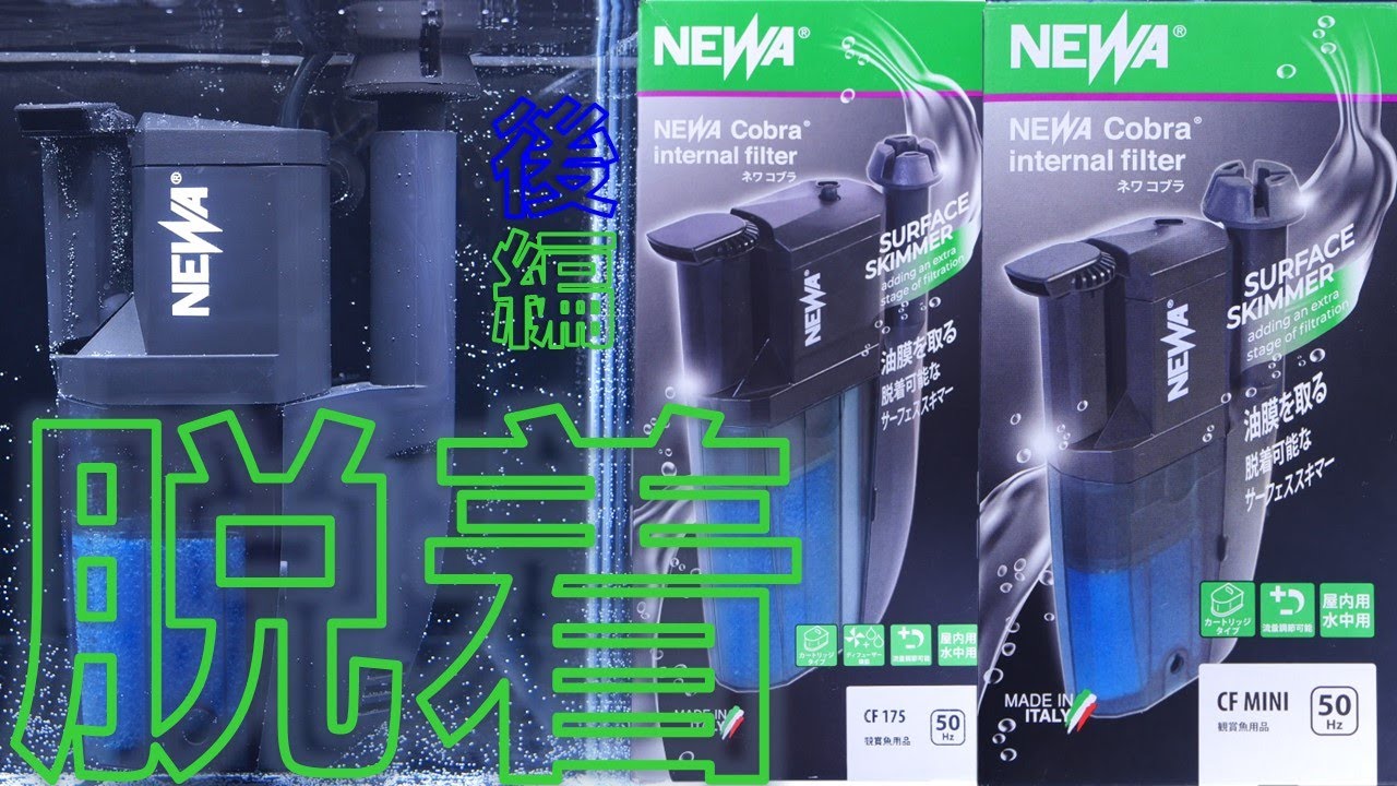 【油膜取り】ネワコブラCF MINI/CF175後編！水槽のシリコンが剥がれる程の威力で上からも下からも確実にゴミを取り除く静かなフィルター ...