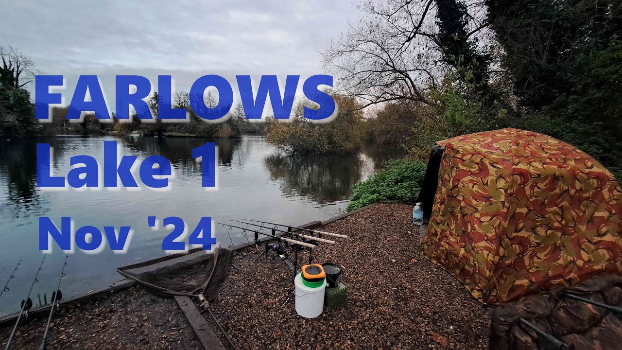 FARLOWS Lake 1 - NOV'24 Underwater Carp footage - YouTube