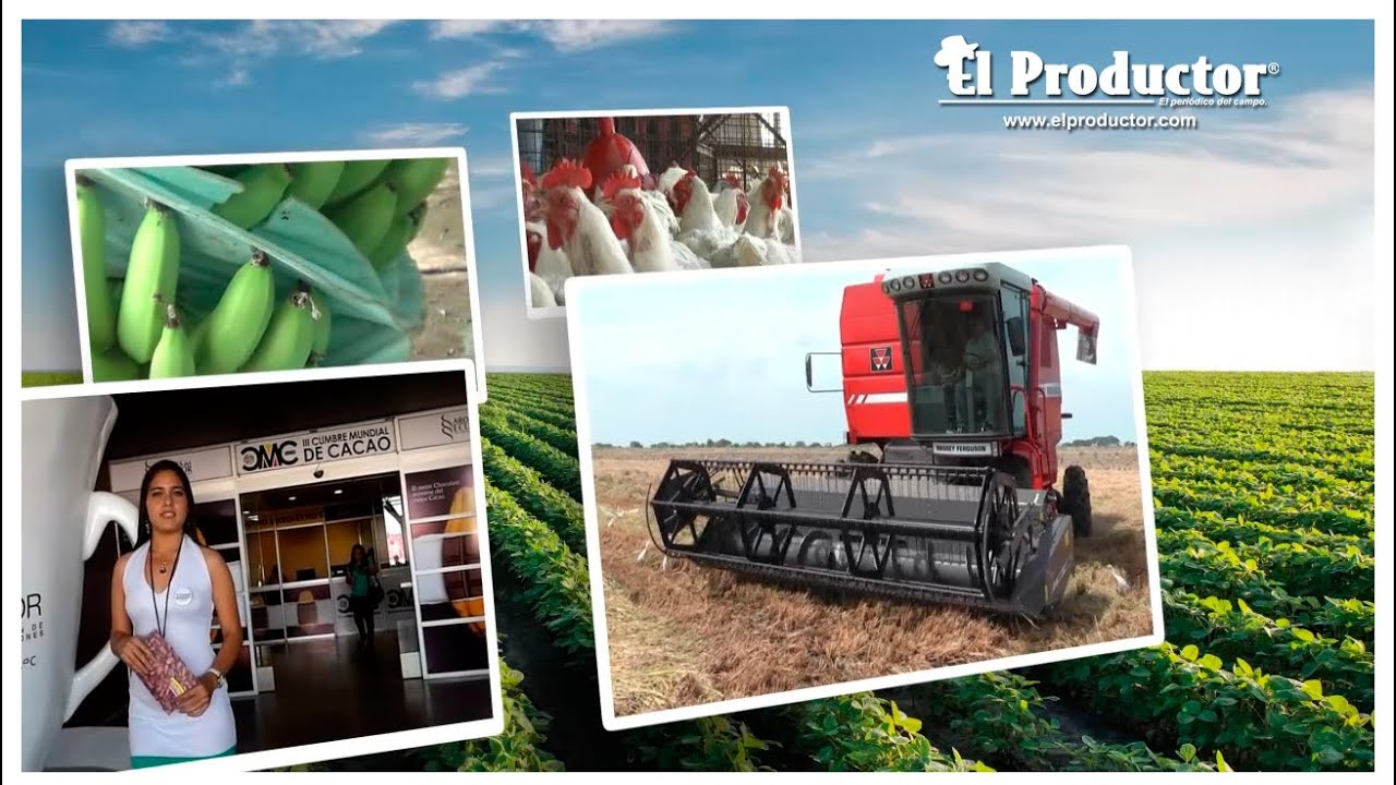 ¿Qué es El Productor TV? - YouTube