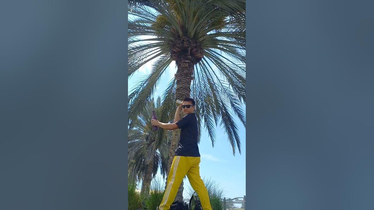 Simple 2 and 3 objects Move - YouTube