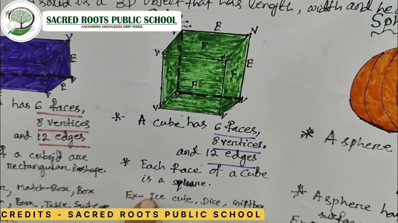 Geometry Solid Figures - YouTube