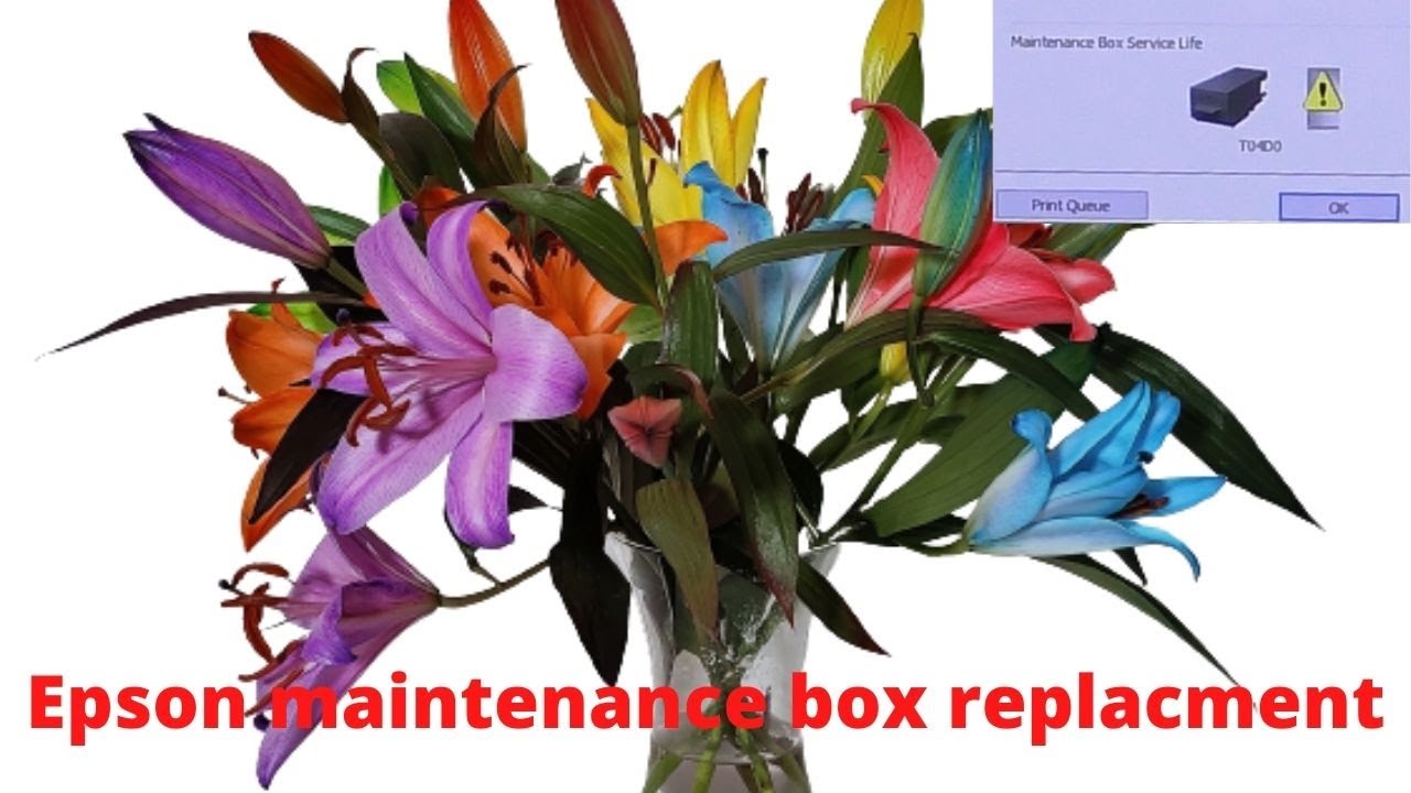 Epson maintenance box replacement, When to change how to change and ...