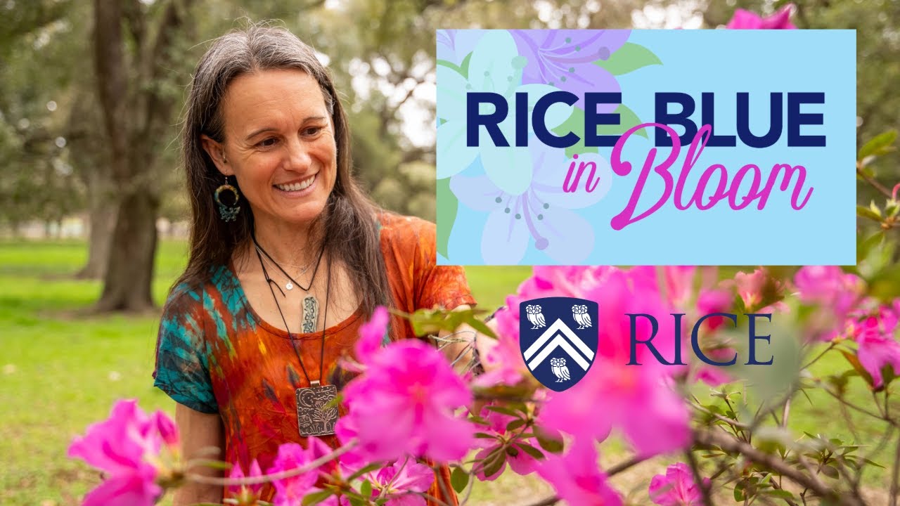 The history of azaleas at Rice is tied to the history of Houston - YouTube