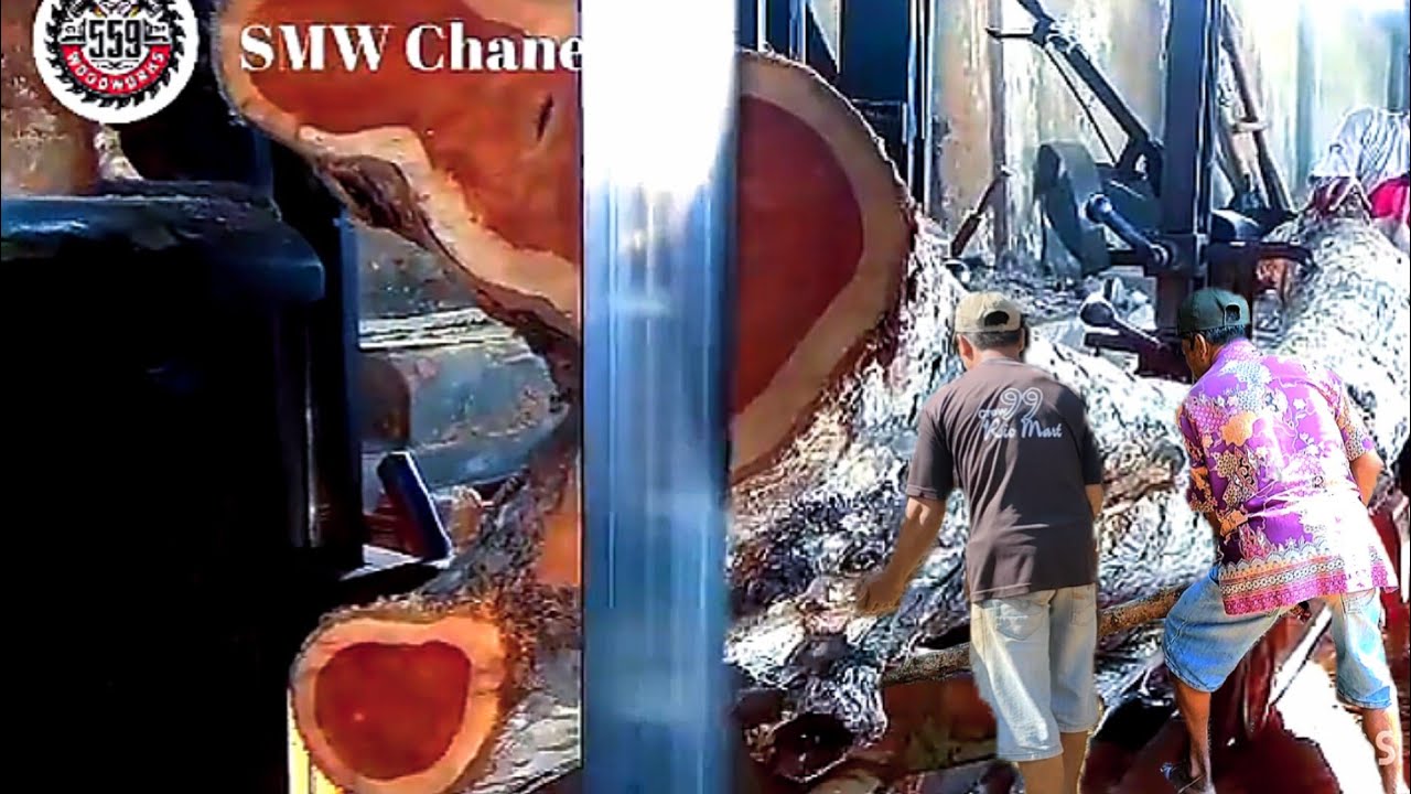 Wood Cutting and Splitting Skills // Sawing Extraordinary Teak Tree ...