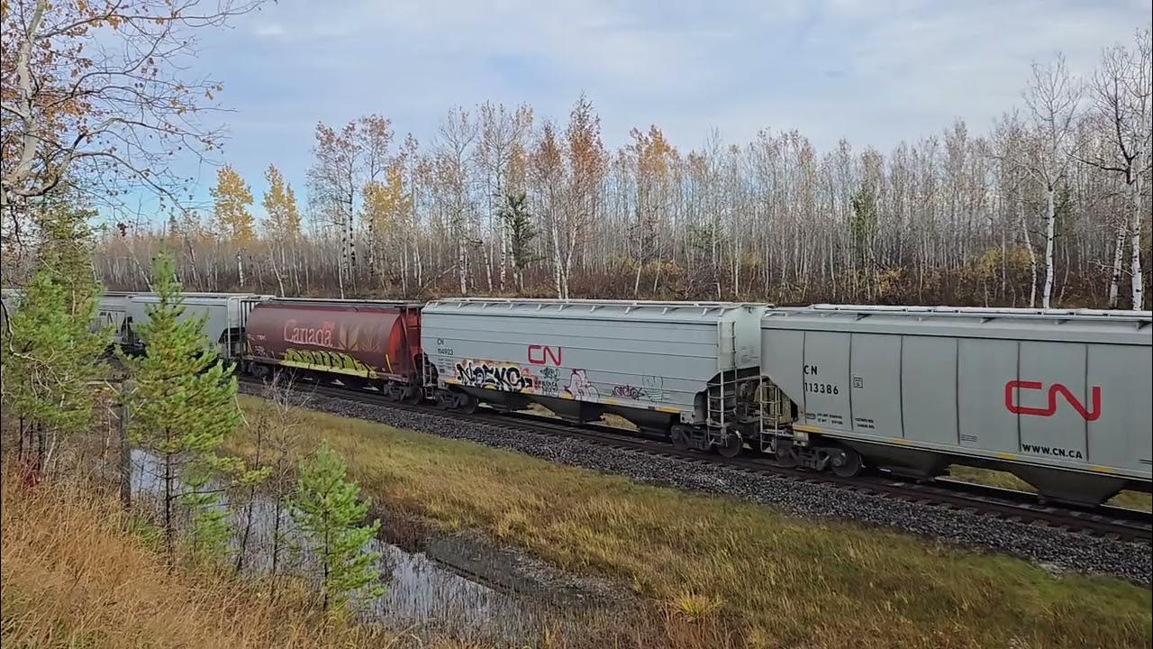 Eastbound CN grain train G892 works up the grade from Marchand to Baynham. October 19th, 2024 ...
