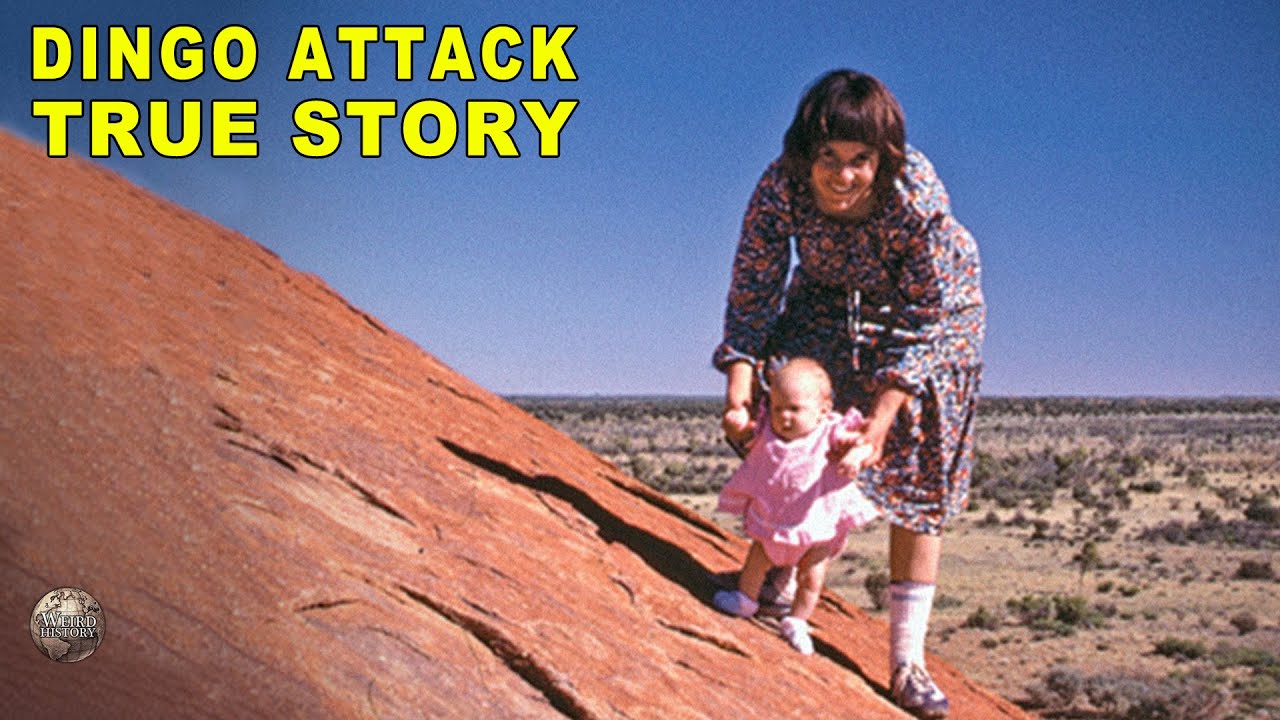 The Real Story Behind A Dingo Ate My Baby