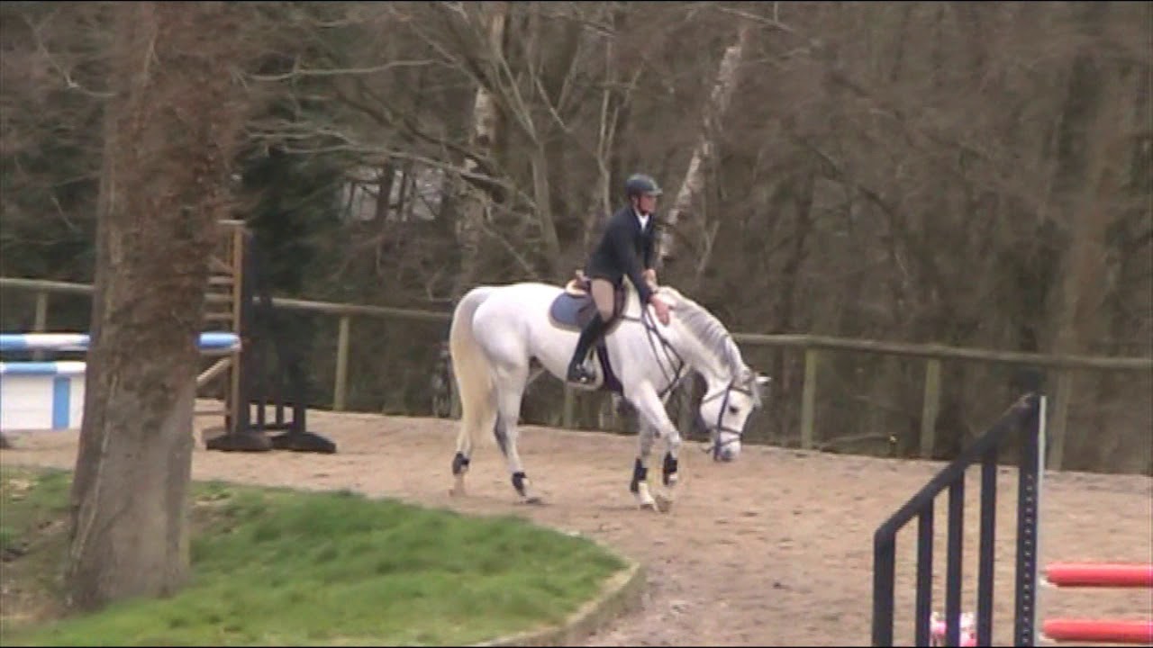 Cornet Junior 1m/1.10m Feb2019 - YouTube