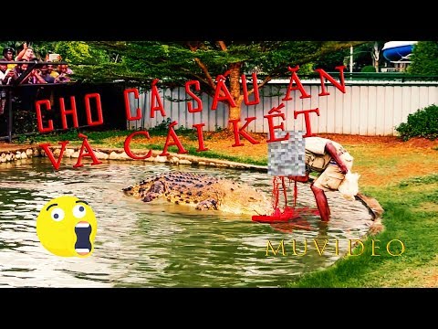 Anh đẹp trai cho cá sấu khổng lồ ăn vịt sống và cái kết bất ngờ - Việc nhẹ lương cao đây rồi!