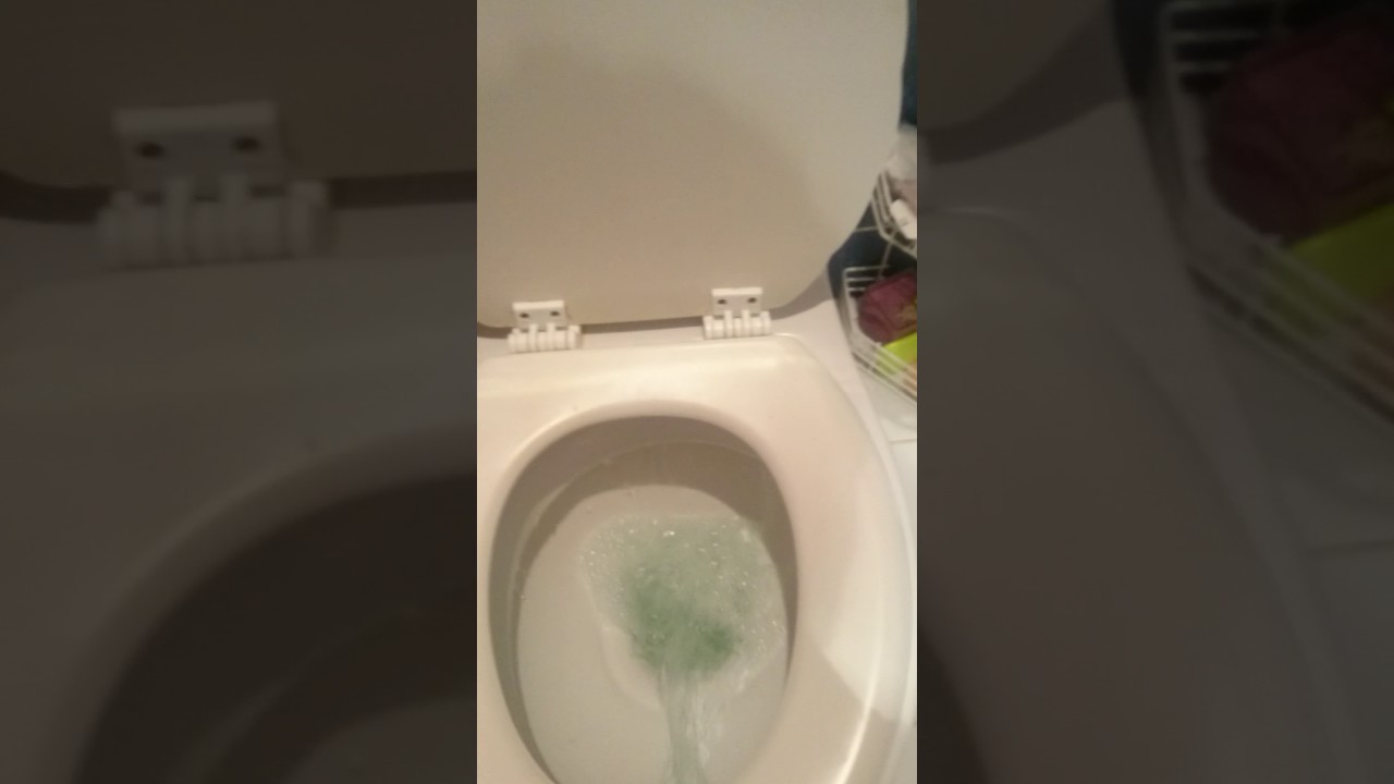The Screaming toilet. - YouTube