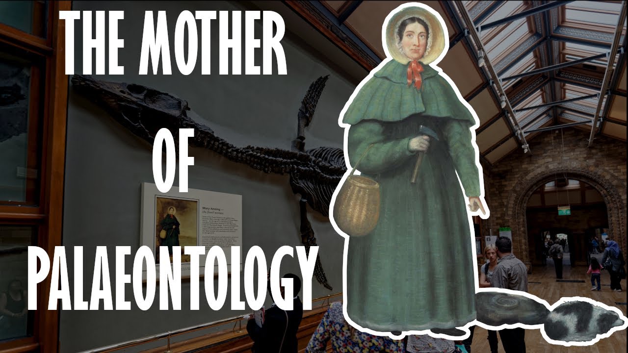 Mary Anning | Her unfair life and contributions to paleontology - YouTube