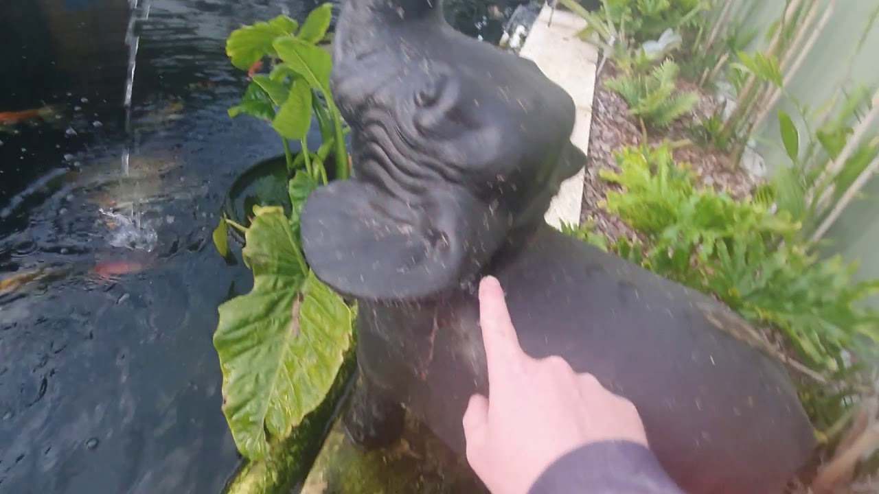 Pond repair fails - YouTube