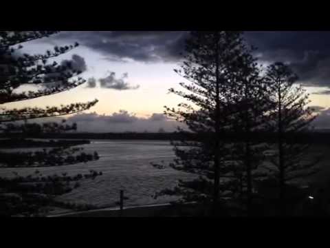 Caloundra trees and birds - YouTube
