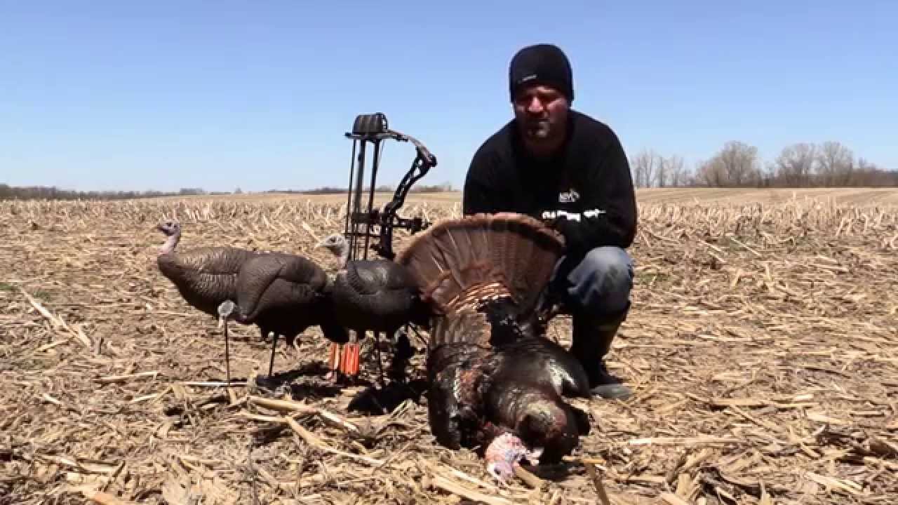 2015 Indiana Archery Turkey - Magnus Bullhead, DSDecoys - YouTube