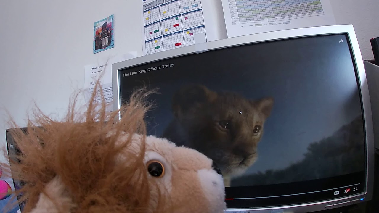 Lion watches the Lion king Trailer - YouTube