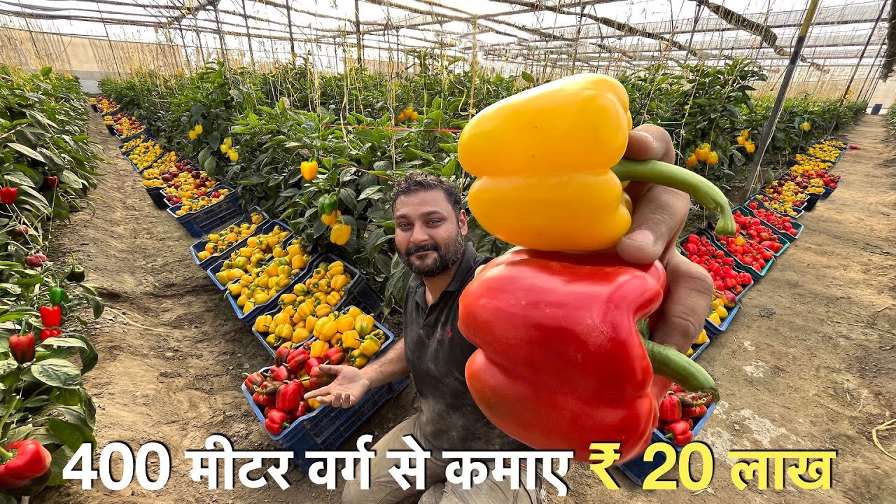 Vegetables Farming In India