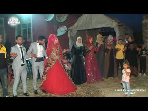 Koma Rojda Halay 2019 '''YENİ''' Harika Performans
