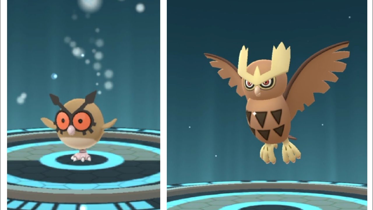 Hoothoot Pokemon Evolution