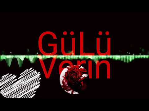 Ahmet kaya GüLü Verin