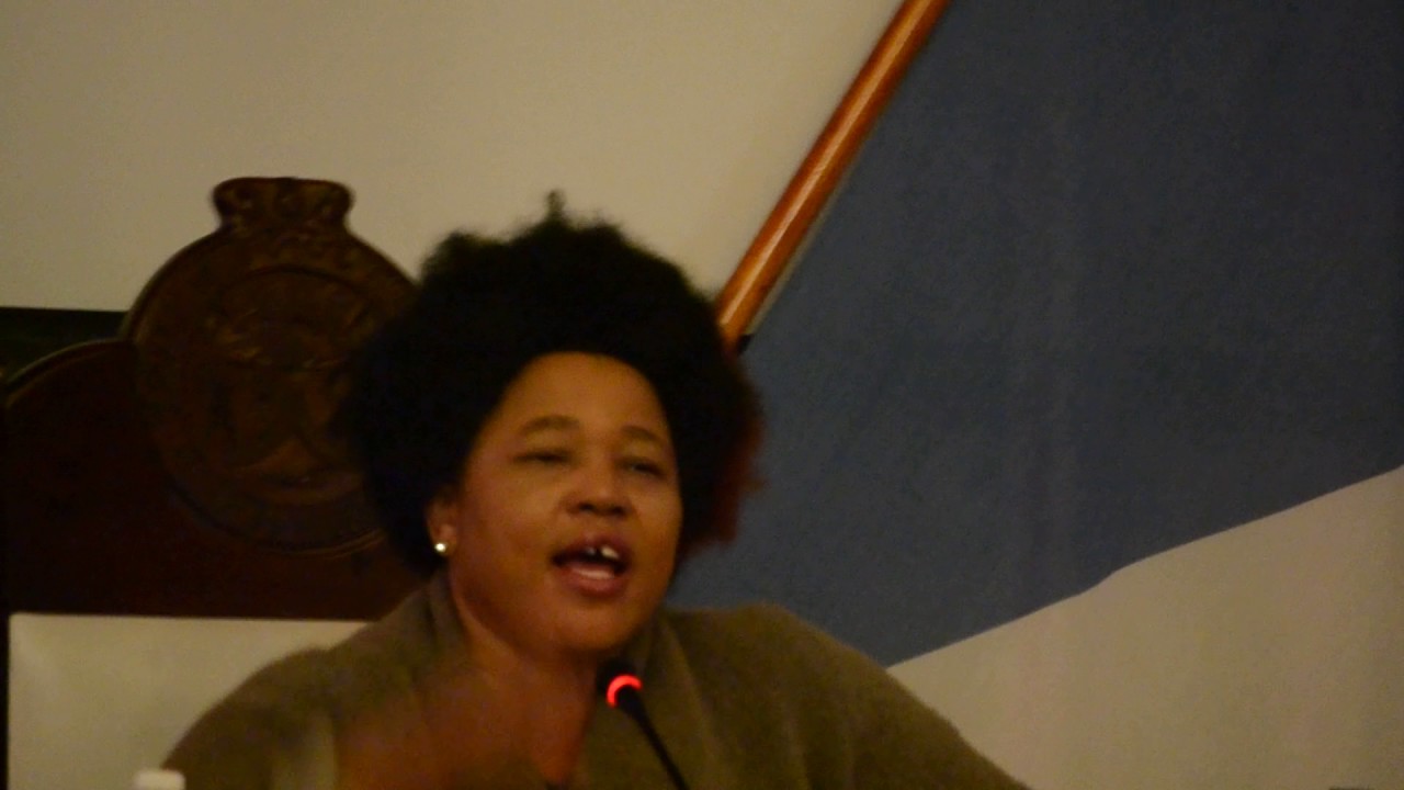 'This is our parliament,' says Endumeni Municipality Speaker - YouTube