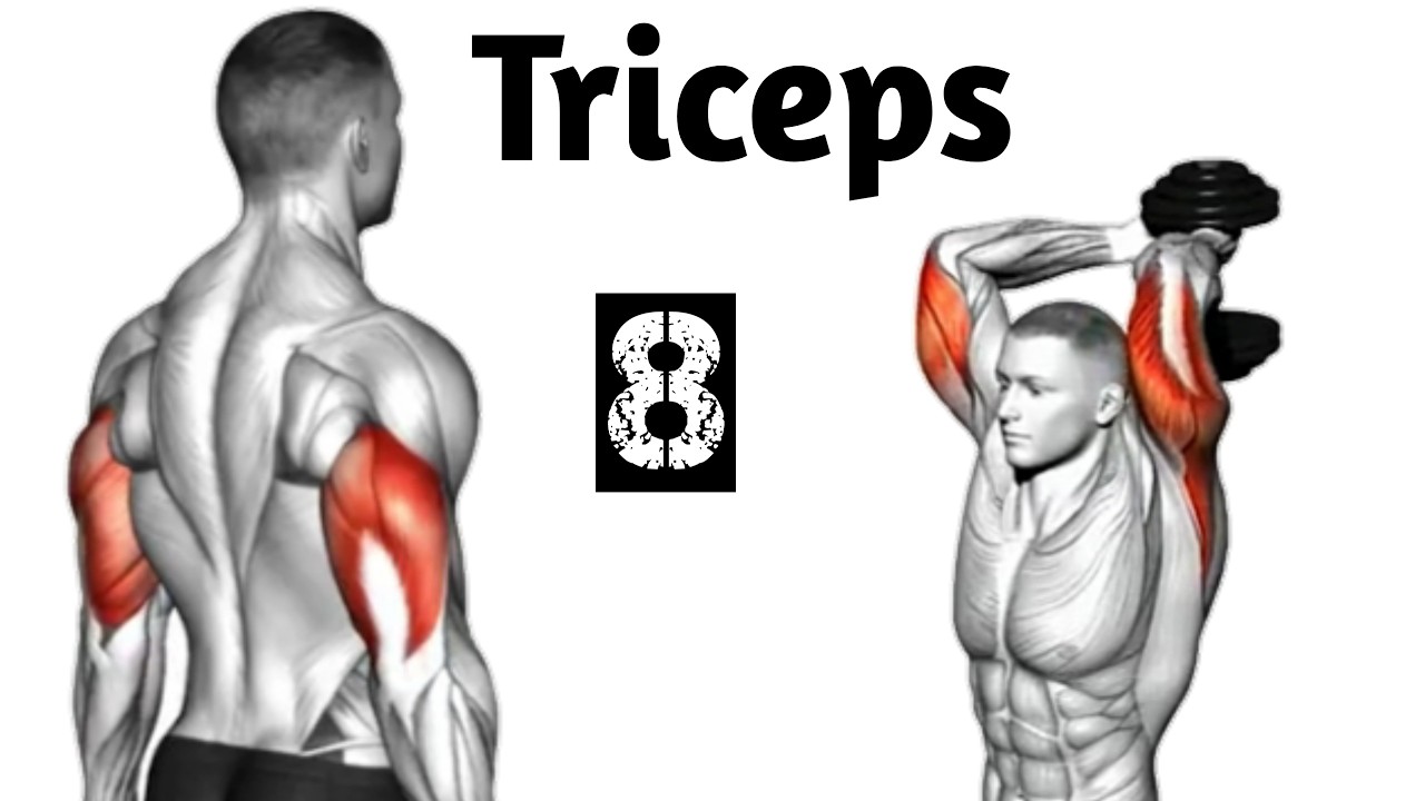 How to Grow Your TRICEPS (Best 8 workout) || - YouTube