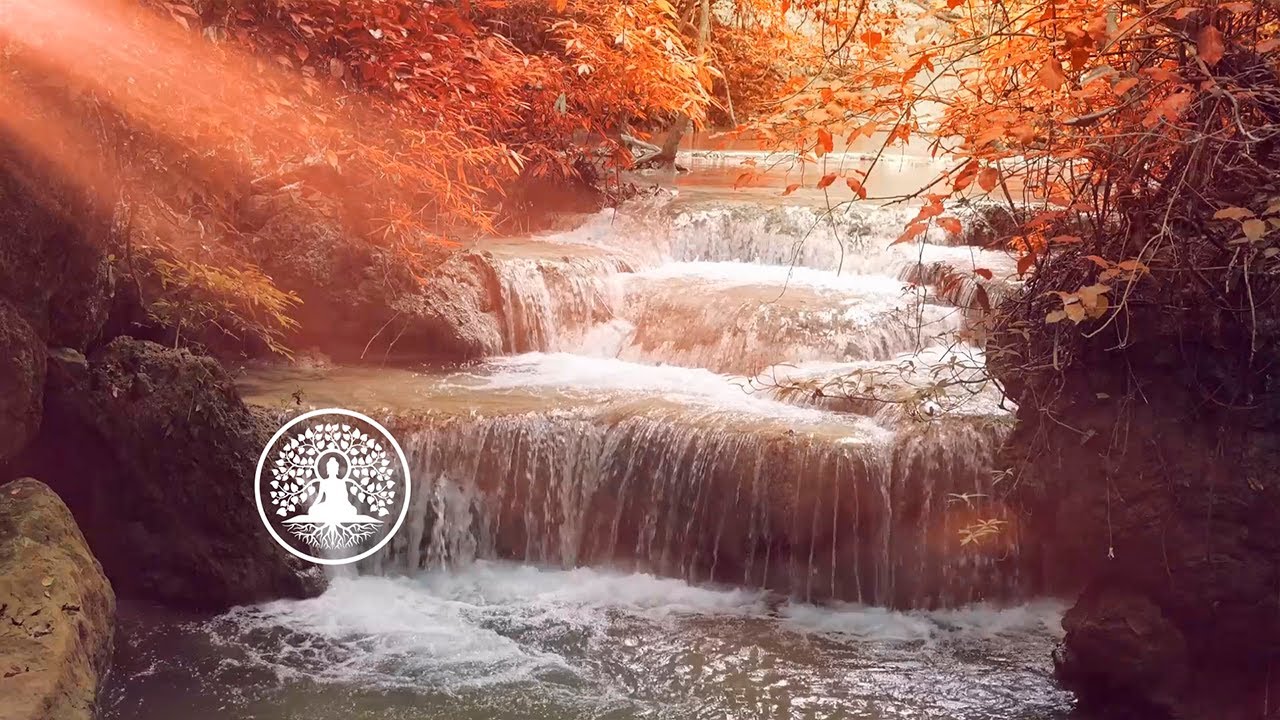Sons Da Natureza Paz Interior Aliviar Estresse Som Relaxante da ...