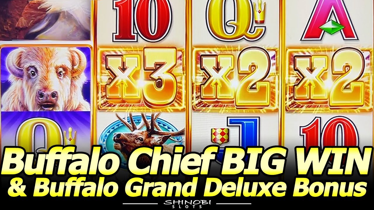 Is This My Favorite Buffalo? Buffalo Chief BIG WIN with Some Buffalo ...