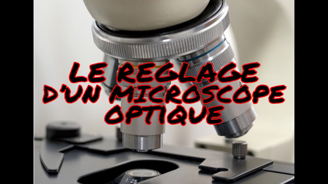 Le réglage d'un microscope optique - SVT - YouTube