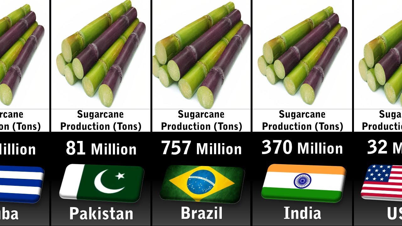 Sugarcane Production by Country 2023 - YouTube
