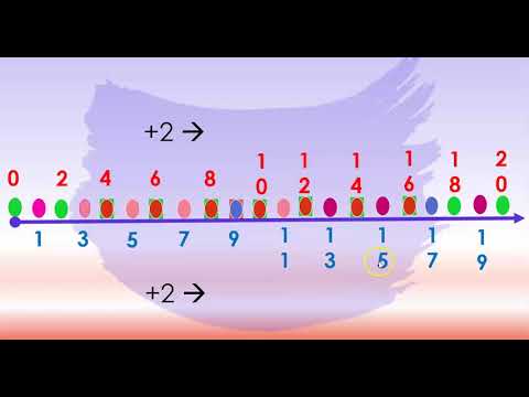 IL BRUCO E I NUMERI PARI - YouTube