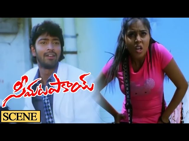 Poorna Hot Scene In Seema Tapakai