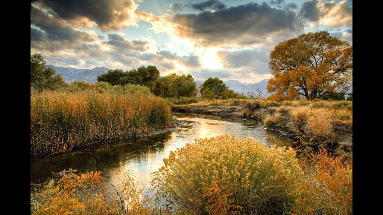 PUST- Avspenningsøvelse fra Re Gestaltterapi - Psykoterapi - YouTube