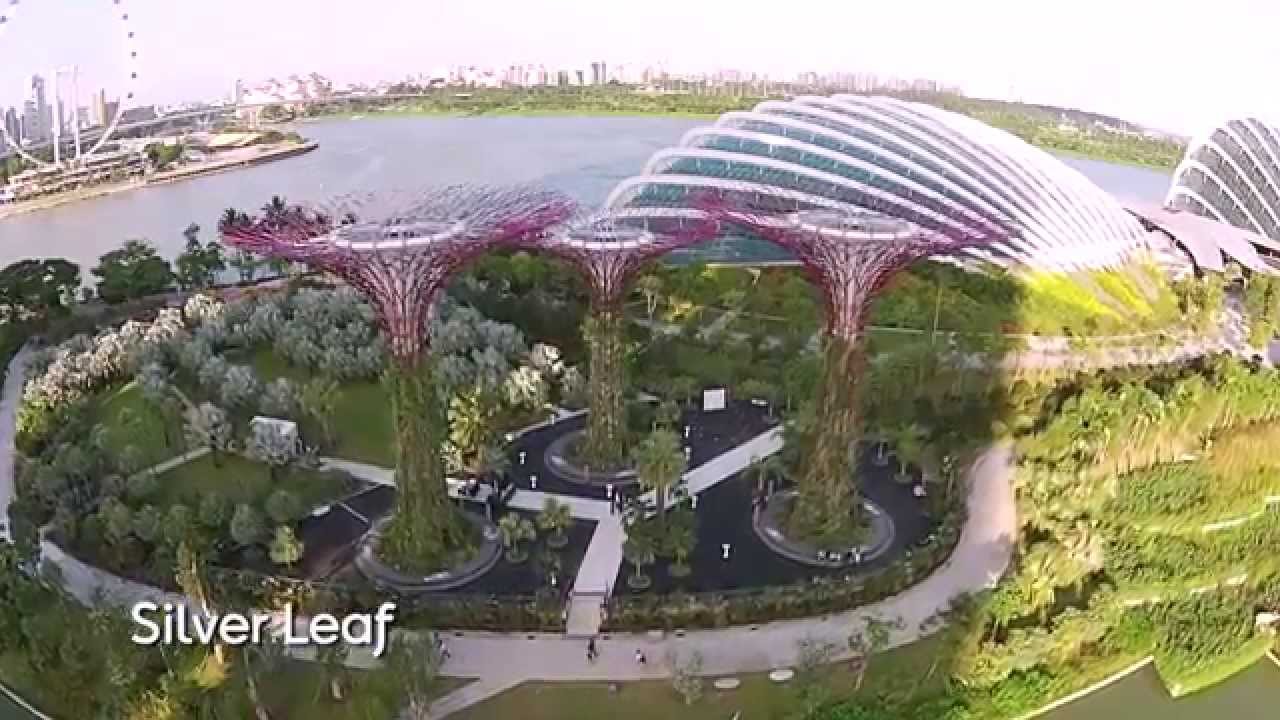 [Event Venue] Silver Leaf - YouTube