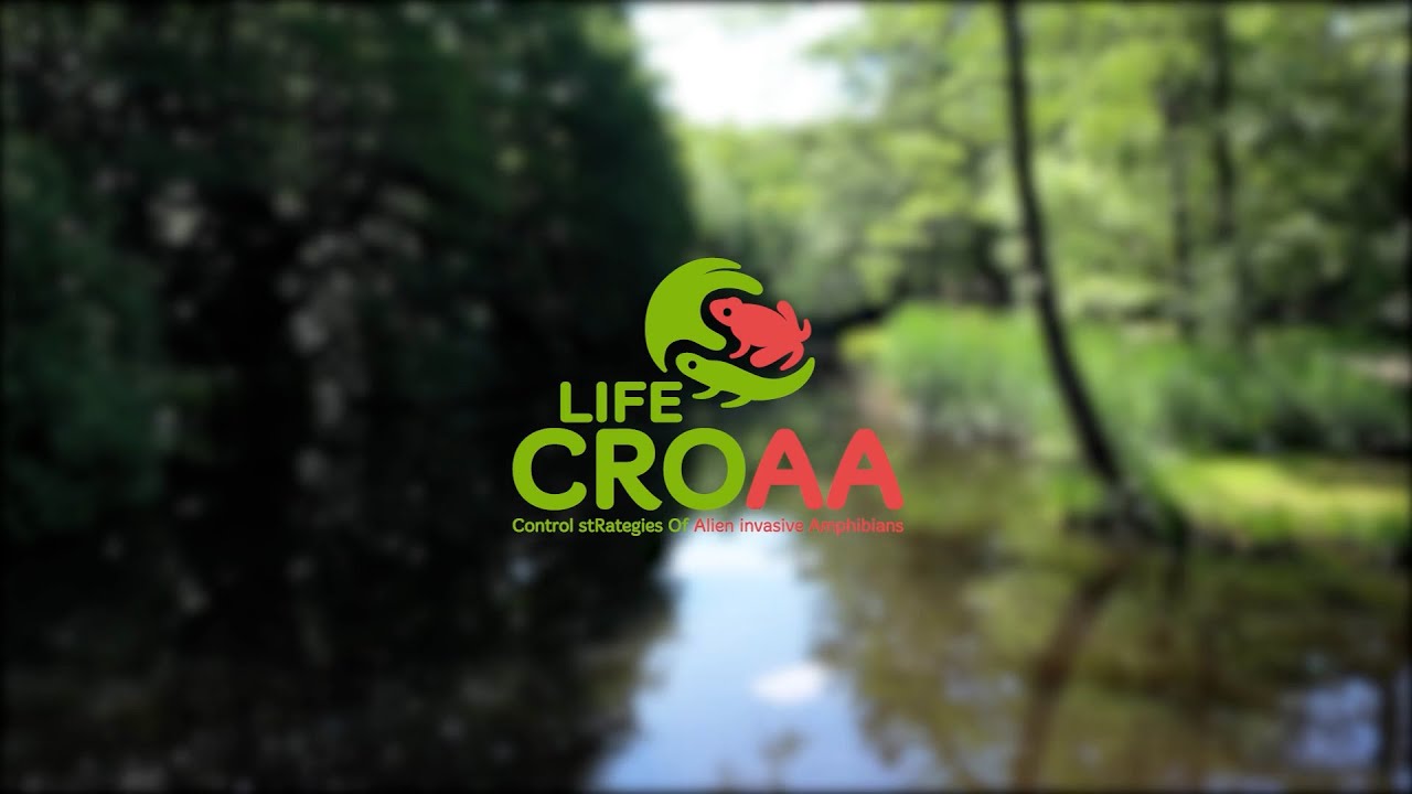 LIFE CROAA : ÉPISODE 3 - Ecosystème de la mare - YouTube