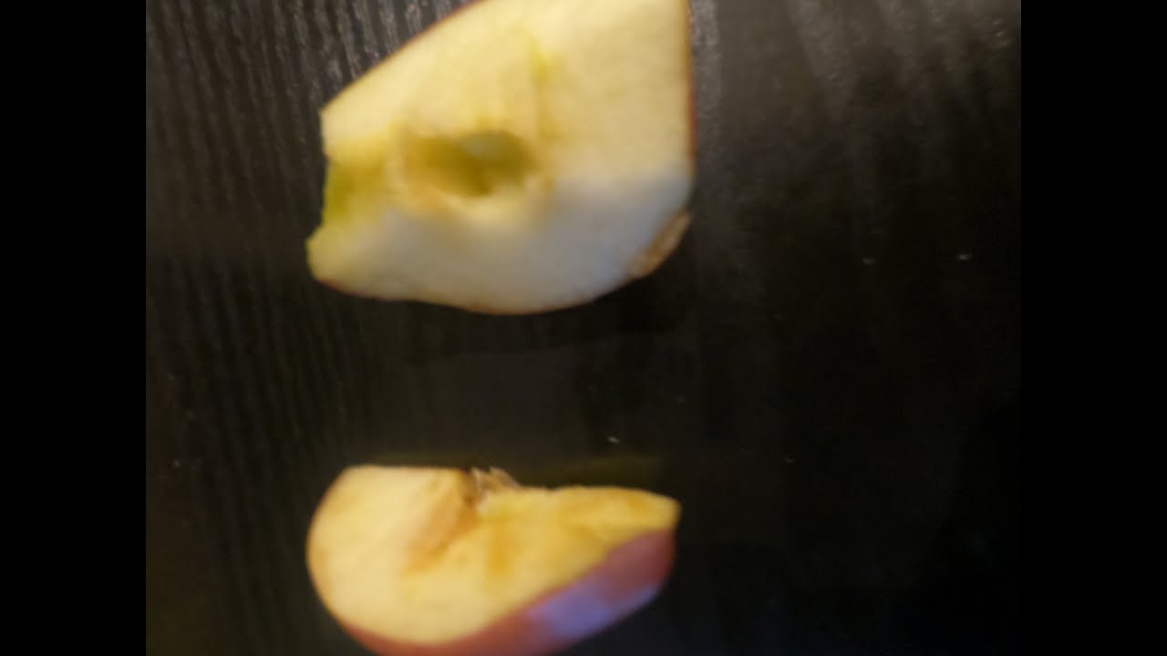 How Long Does It Take For An Apple To Rot? | Science Experiment - YouTube