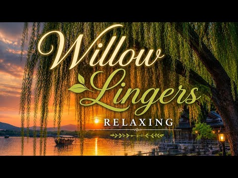 Willow Lingers Relaxing 🌿