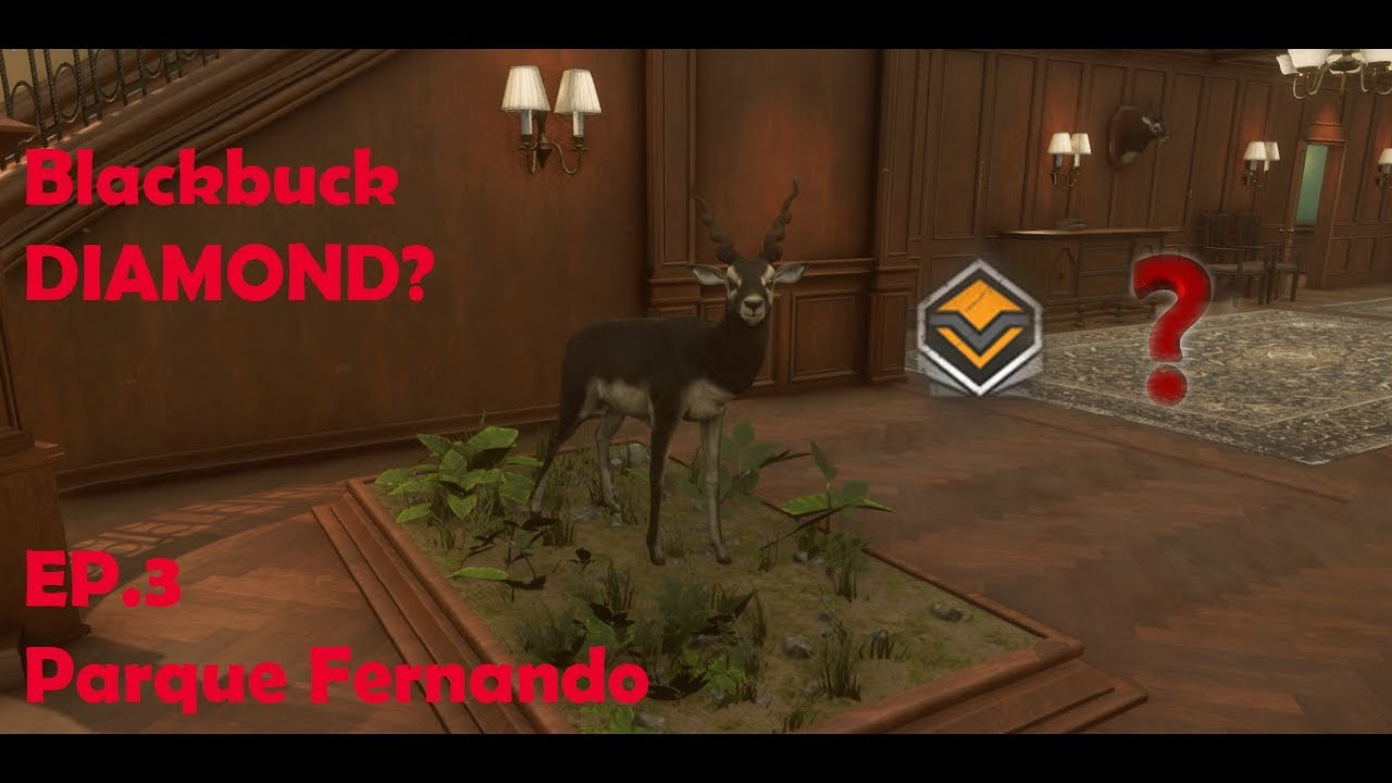 Diamond #1 on Youtube? (COTW EP.3) - YouTube