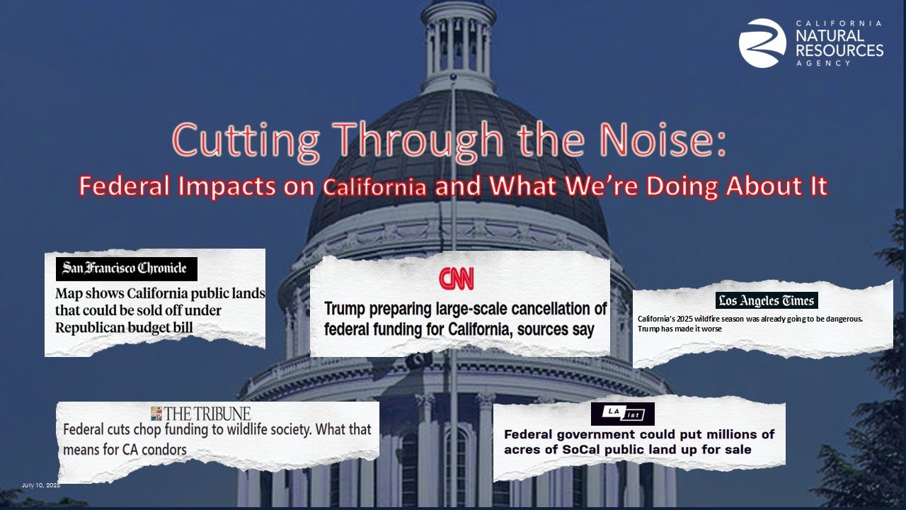 Cutting Through the Noise: Federal Impacts on California Priorities and ...