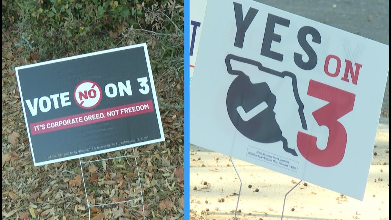 A LOOK AT FLORIDA'S BALLOT: What does Amendment 3 mean and what will ...