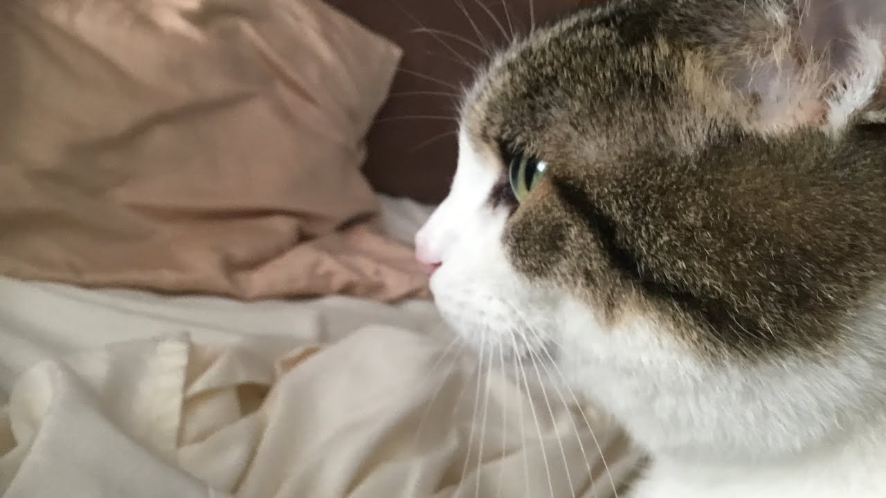 She does not look happy - YouTube