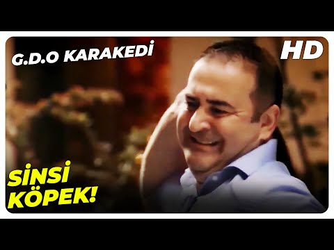 Beni Kardeş Katili Yapacaksınız! | G.D.O. Karakedi Efsane Sahneler