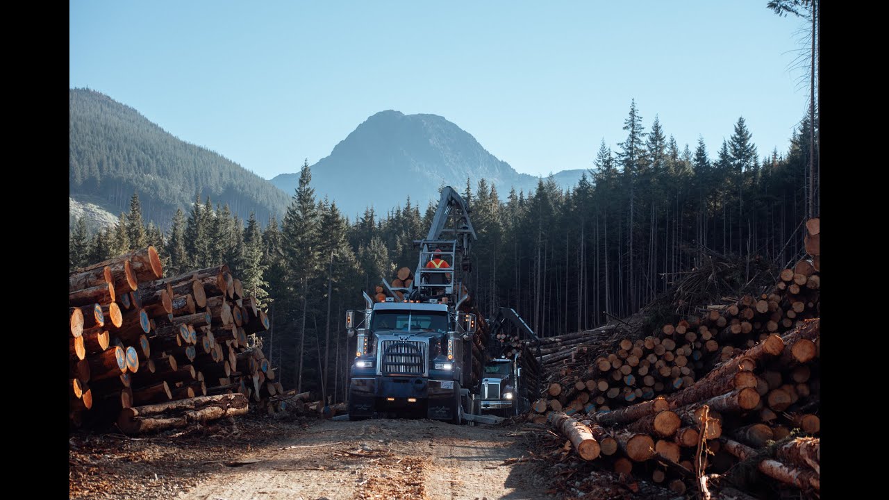 Powell River Logging - YouTube