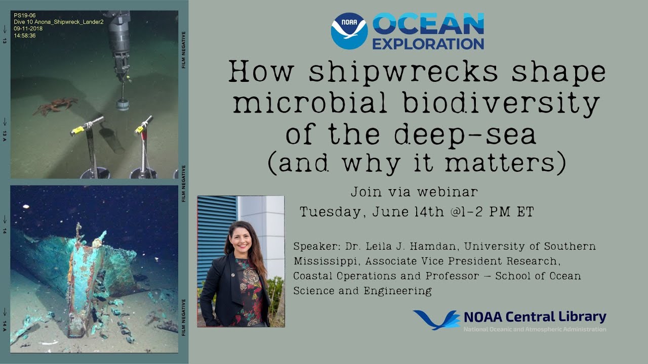 How shipwrecks shape microbial biodiversity of the deep-sea (and why it ...