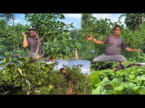 Akabare Dalle Khursani Bari Ma Dherai Din Bad Visit | Rural Life In Village Vlog