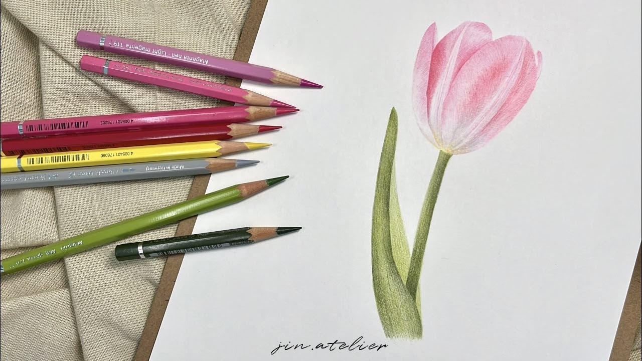 How To Draw A Tulip YouTube How To Draw A Tulip YouTube
