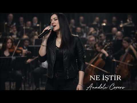 Ne İştir - Eyüphan - Anadolu Rock & Psyhdelic Arabesk Ai Cover