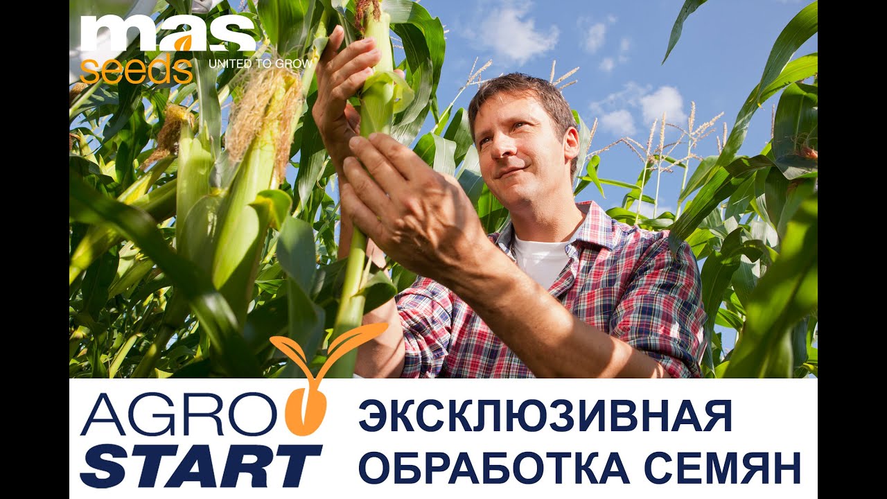 Agrostart и Agrostart PLUS - это больше, чем обработка семян! - YouTube