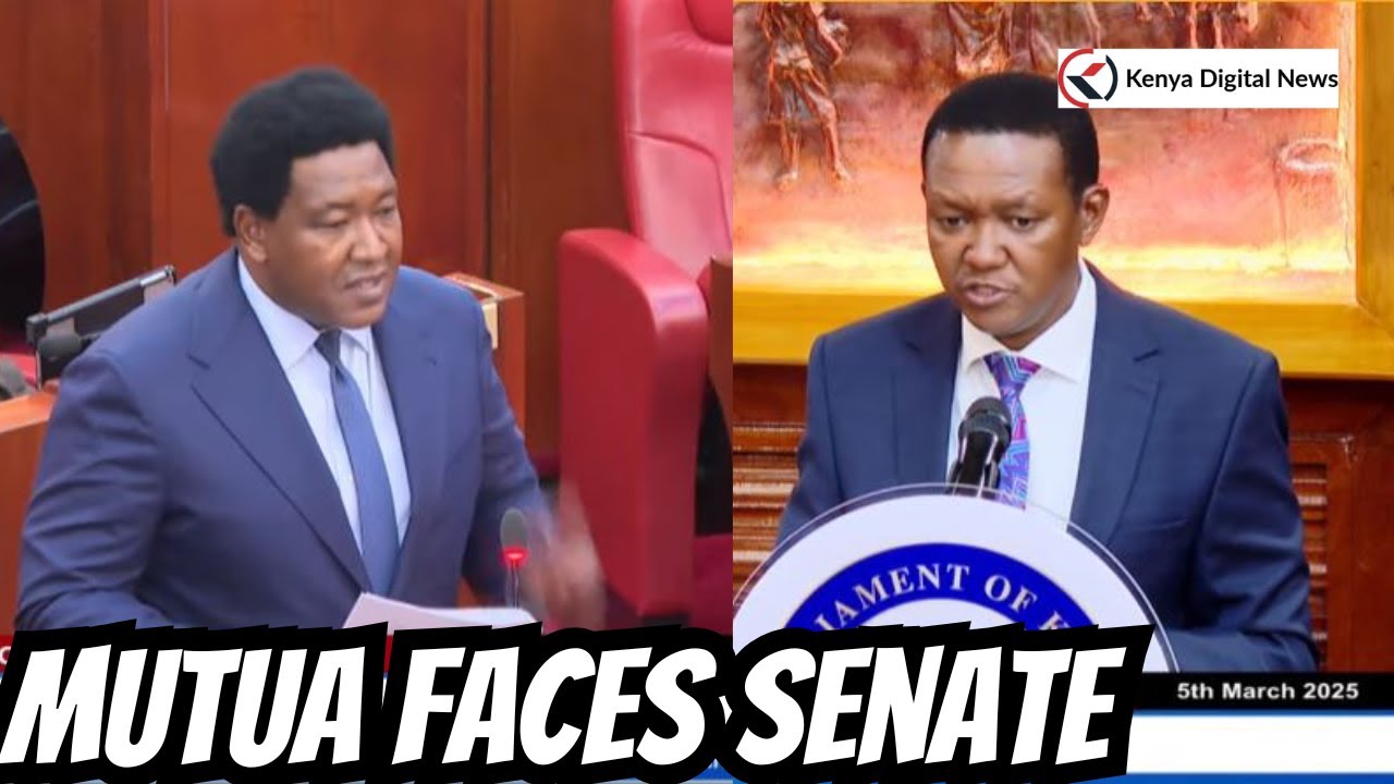 Tough Senators Confront CS Alfred Mutua as he Appears to Answer Hard ...