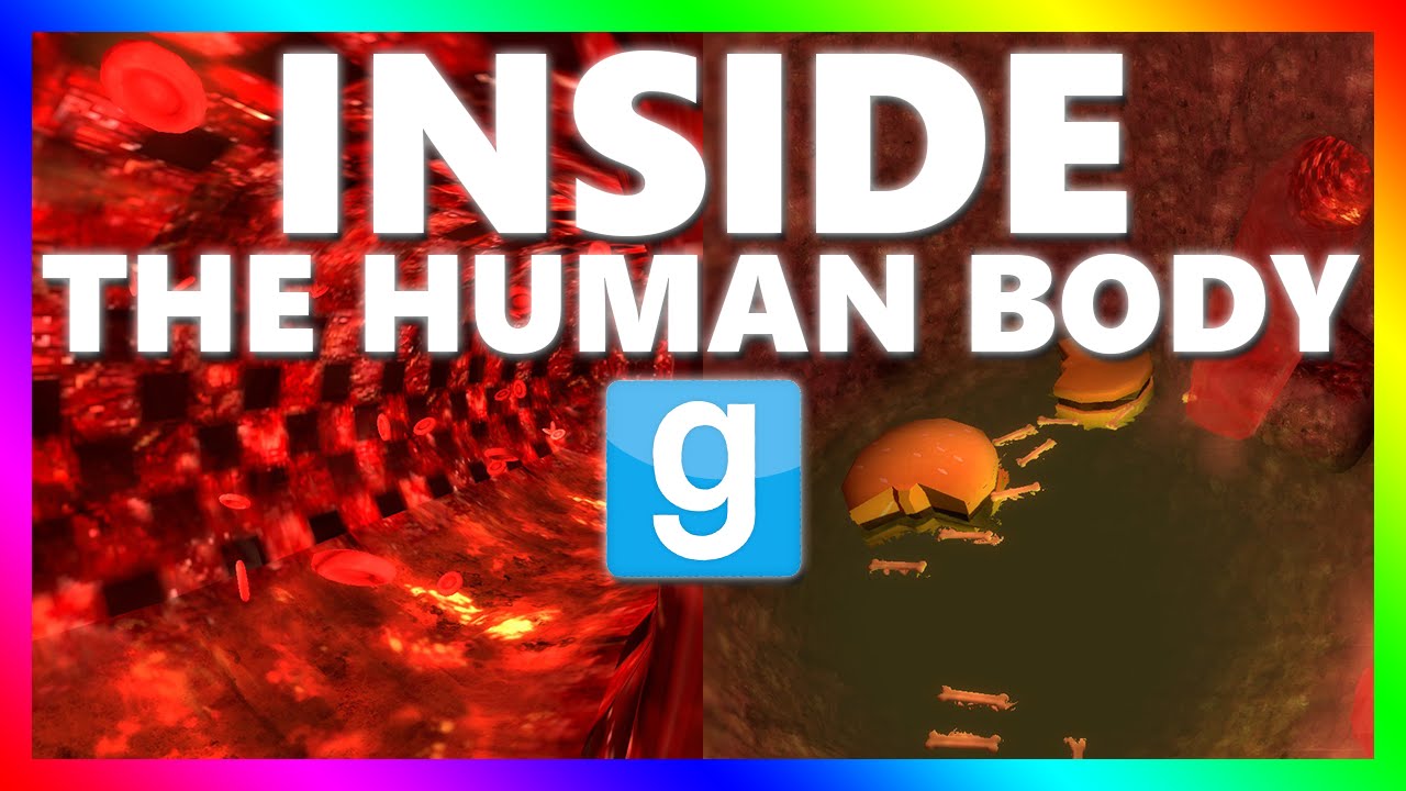 OPERATING INSIDE THE HUMAN BODY?!?! | Gmod Adventure (Human Body Map ...