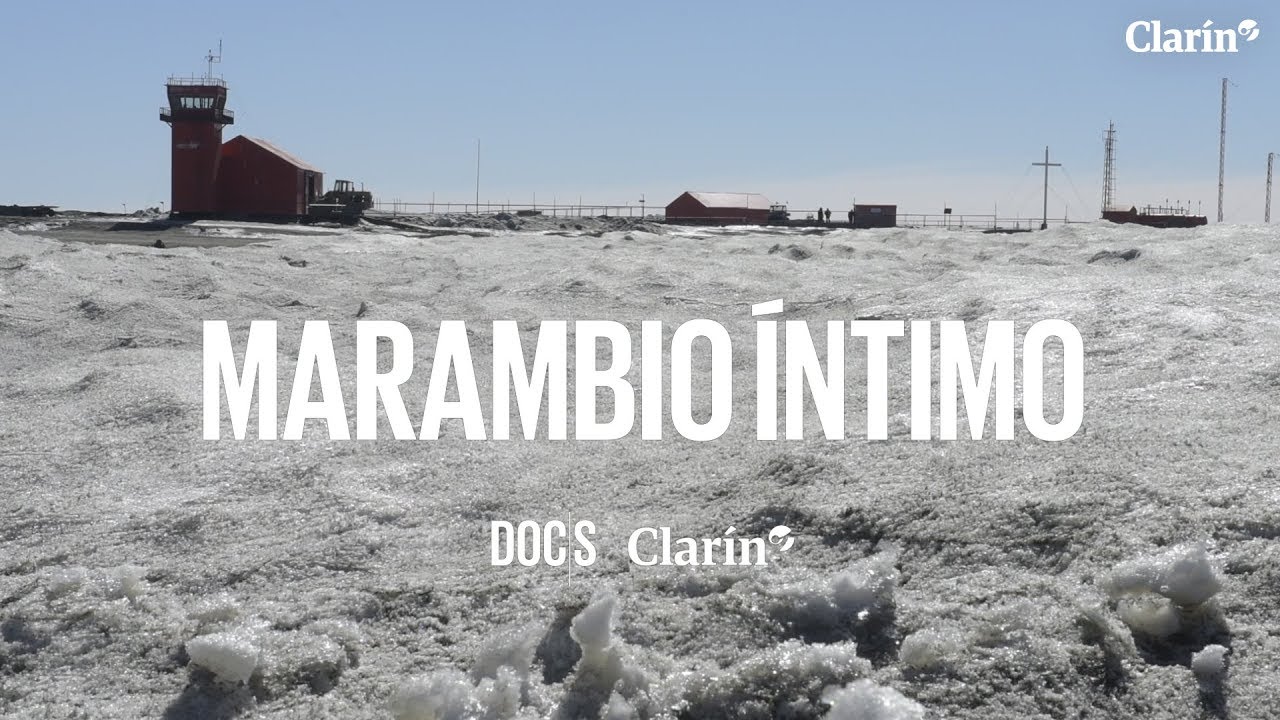 Cómo se vive en Marambio, la base militar argentina en la Antártida ...